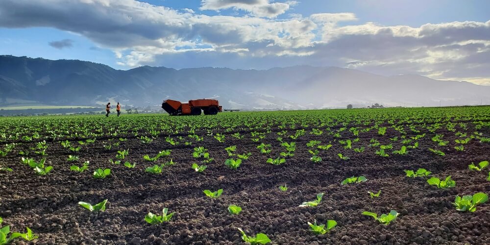 FarmWise | Feeding Our World and Our Future